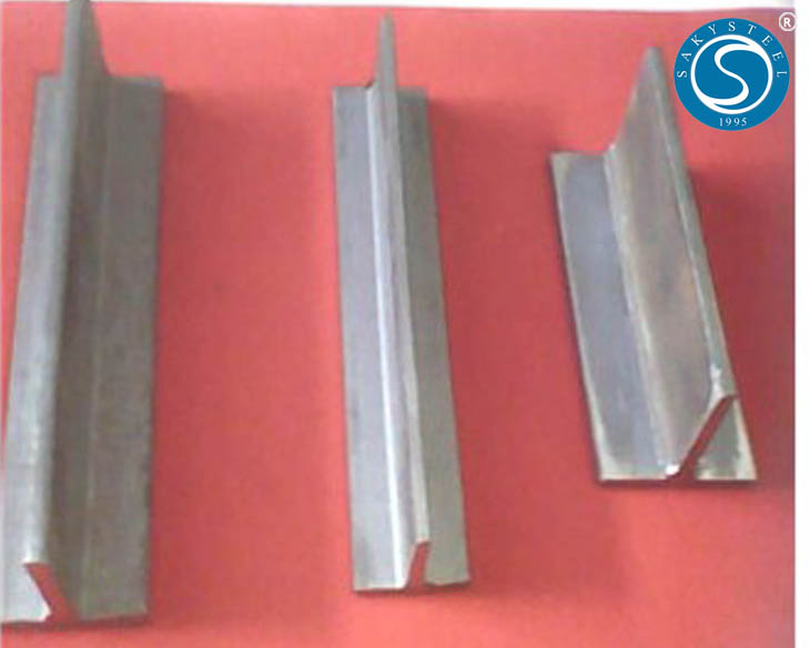 Stainless Steel T Section - Saky Steel